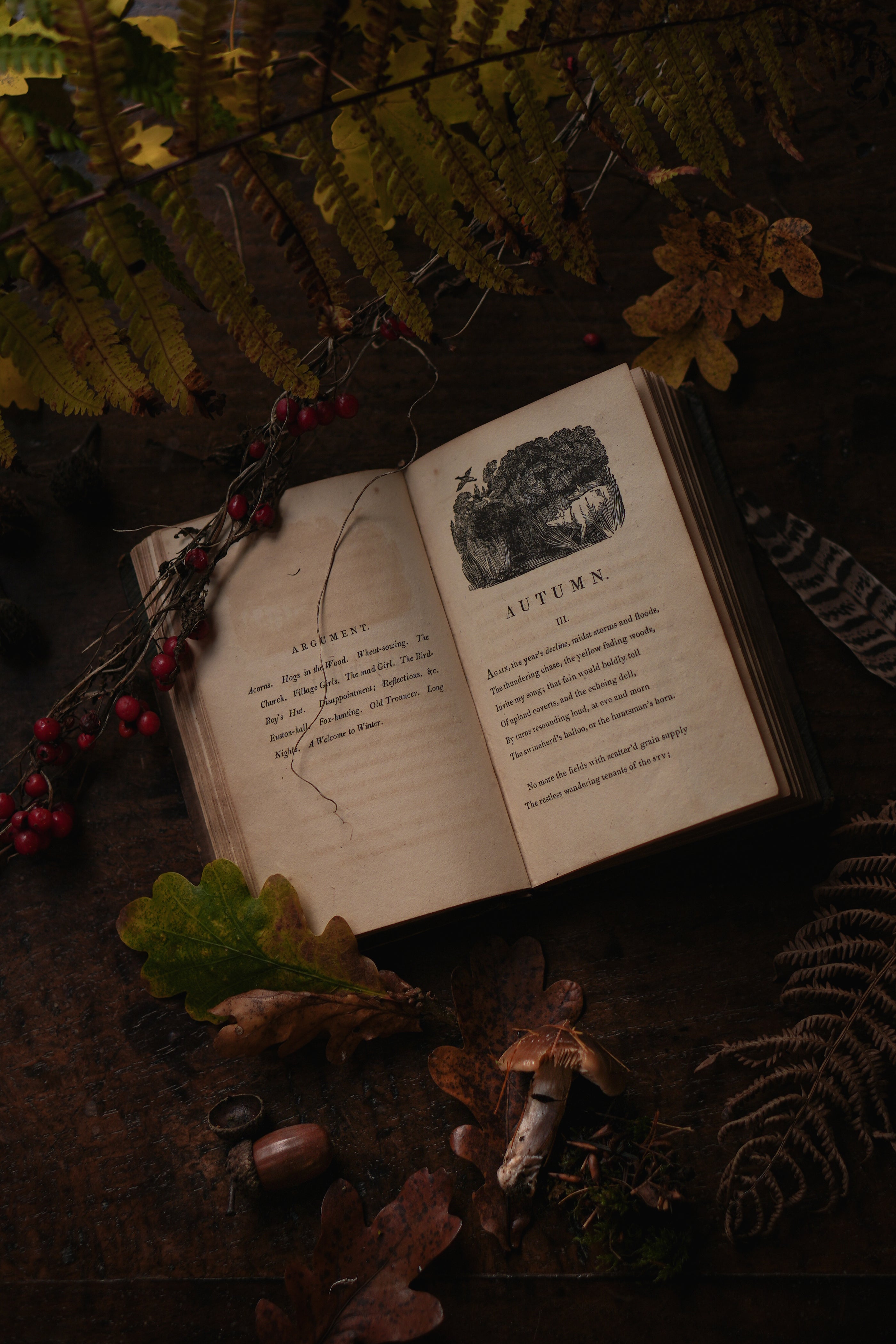 Rosebud Preserves - Luxury Artisan Preserves