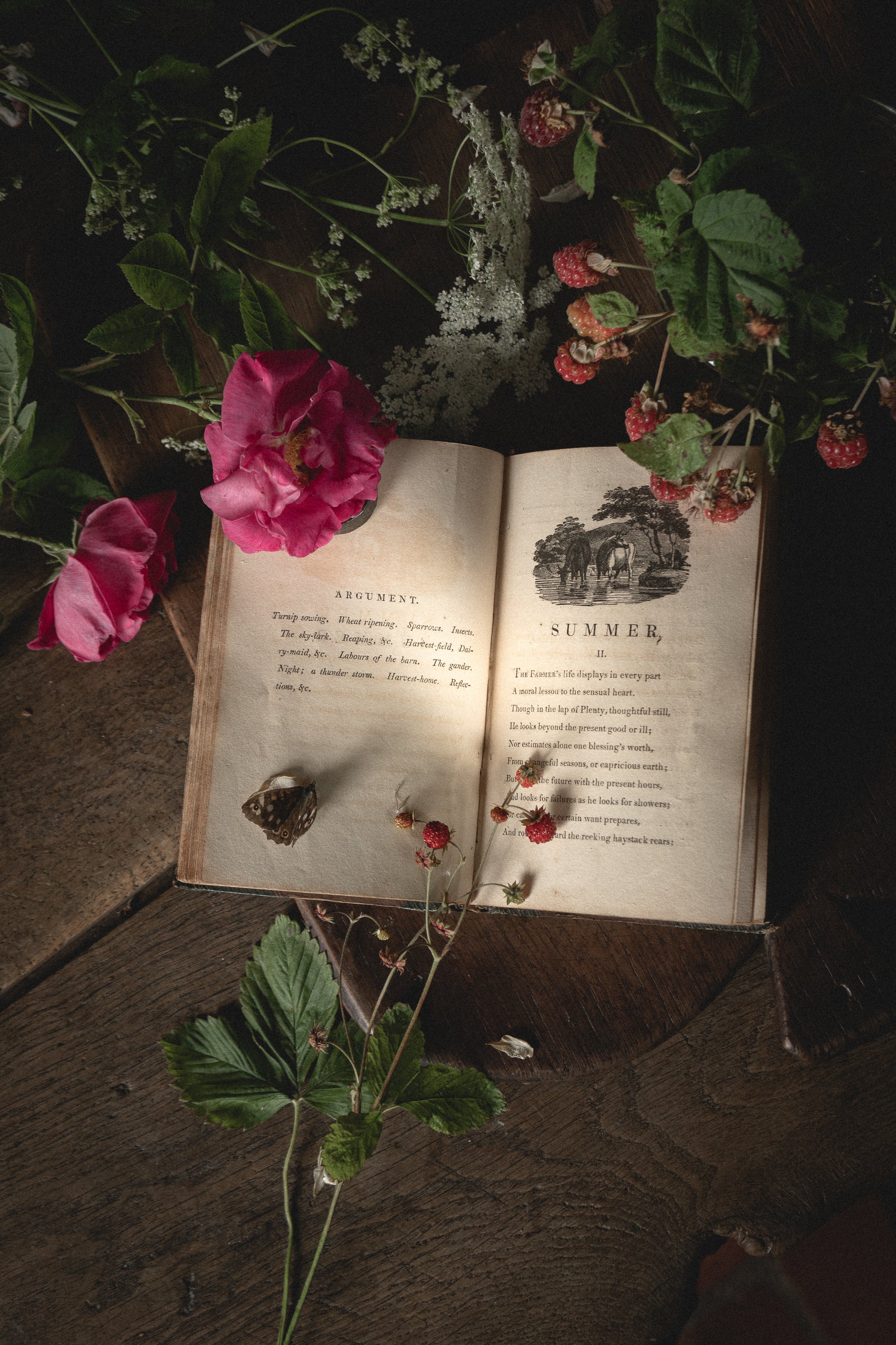 Rosebud Preserves - Luxury Artisan Preserves