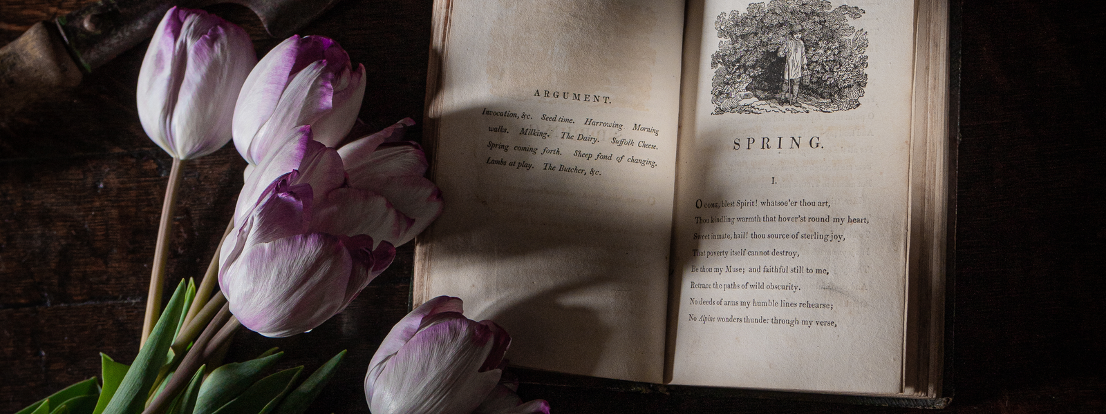 Rosebud Preserves - Luxury Artisan Preserves